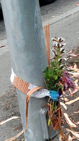 Last Bomb Standing | Croshame