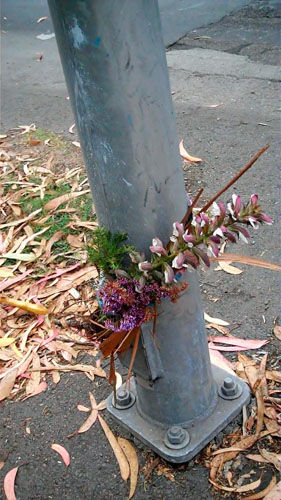 Last Bomb Standing | Croshame